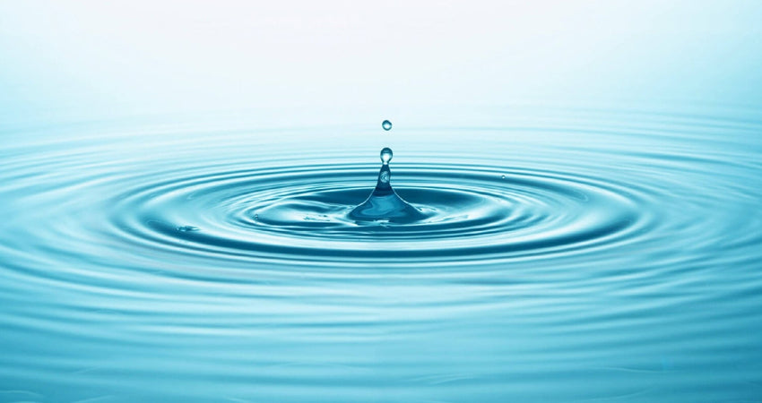 Pureline Blog – Pure Line Filters